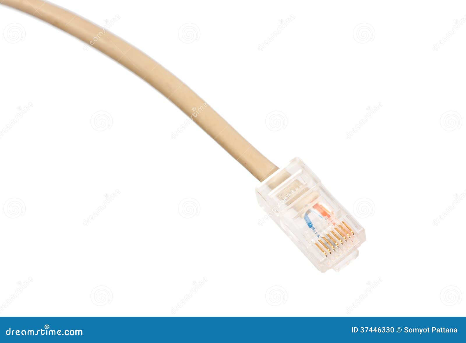 Rj45 jack stock photo. Image of fast, isolated, internet - 37446330