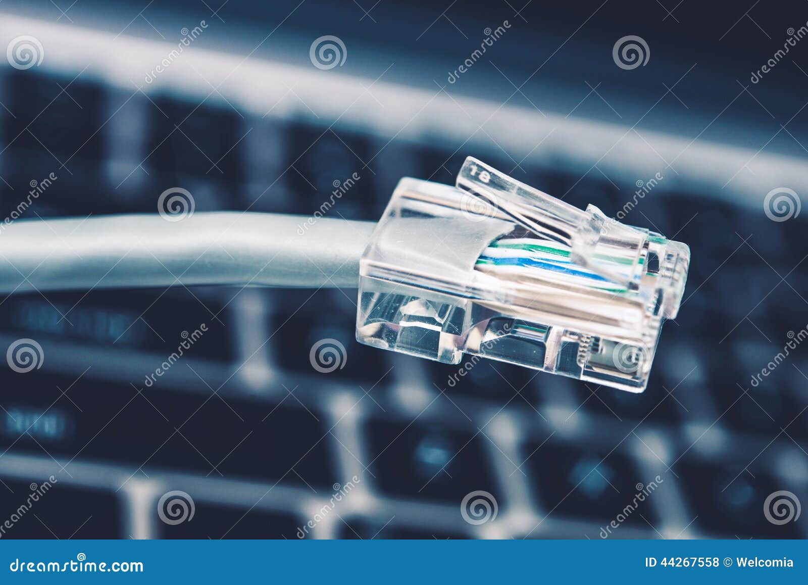 RJ45 Network Cable Closeup stock photo. Image of cord - 44267558