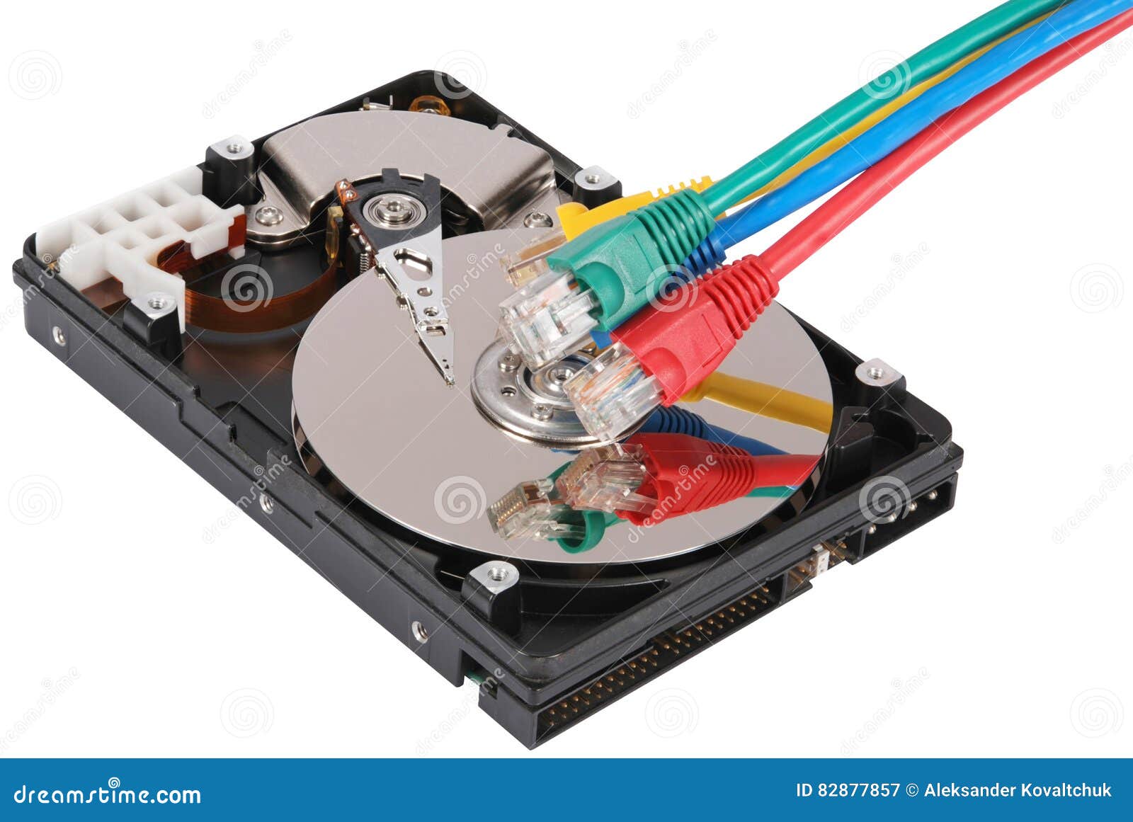 RJ45 network plugs on HDD stock image. Image of computer - 82877857