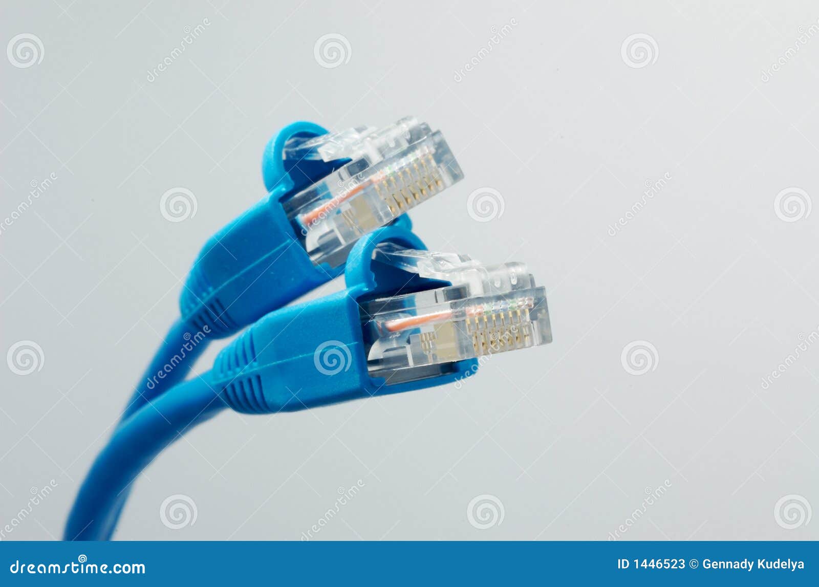 RJ45 stock image. Image of flow, communications, business - 1446523