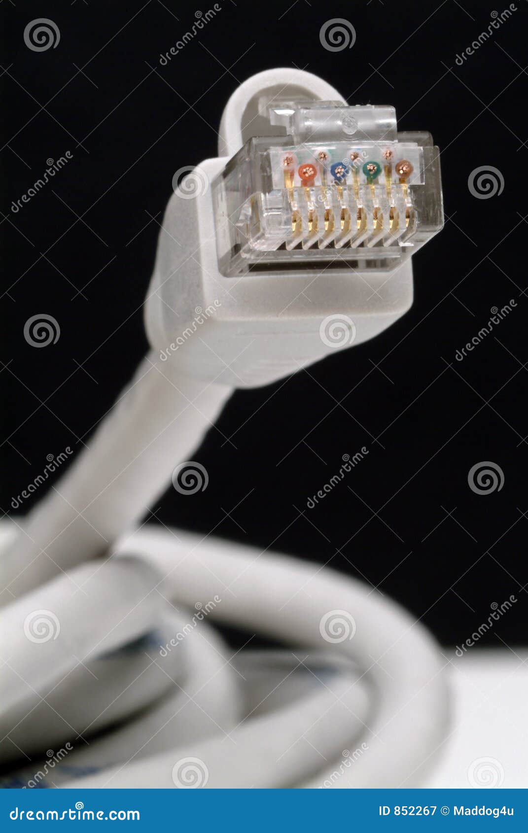 RJ45 Cable End stock image. Image of cover, internet, data - 852267