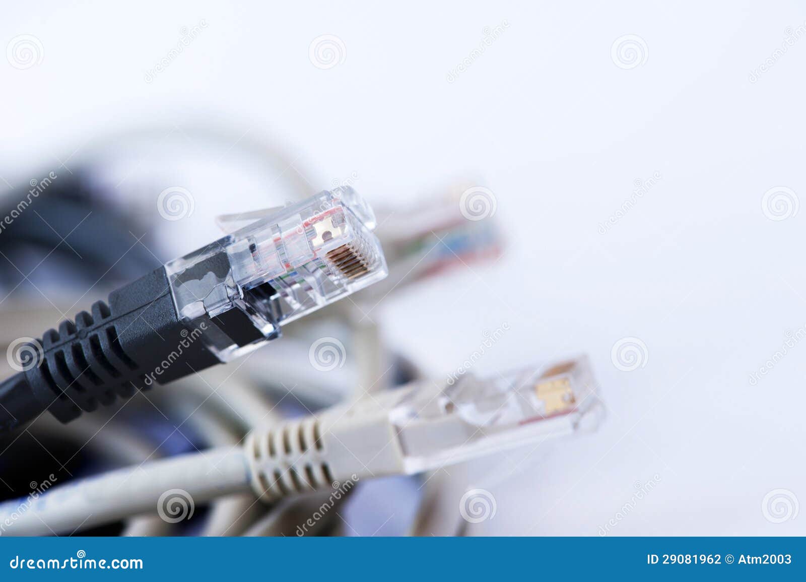 Rj45 connector cables stock photo. Image of plug, industry - 29081962