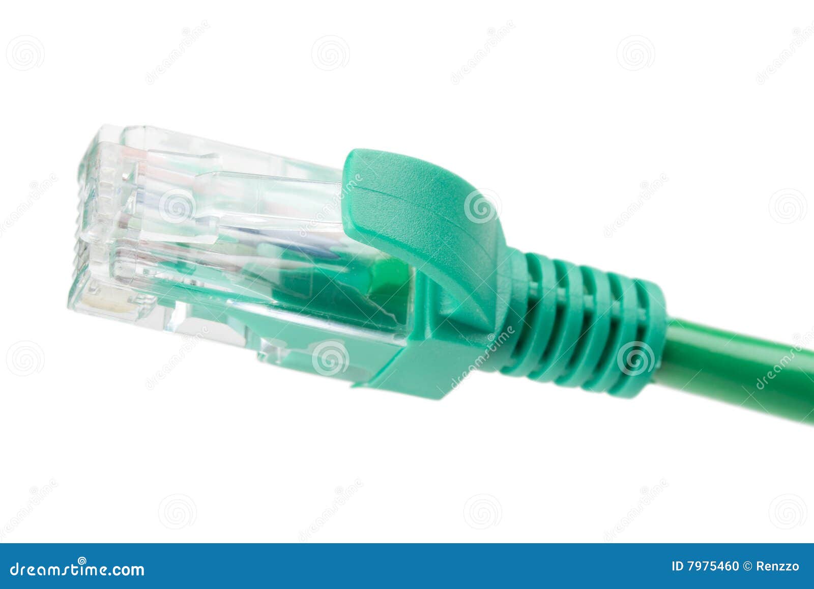 RJ45 LAN connector - green stock photo. Image of cat6 - 7975460