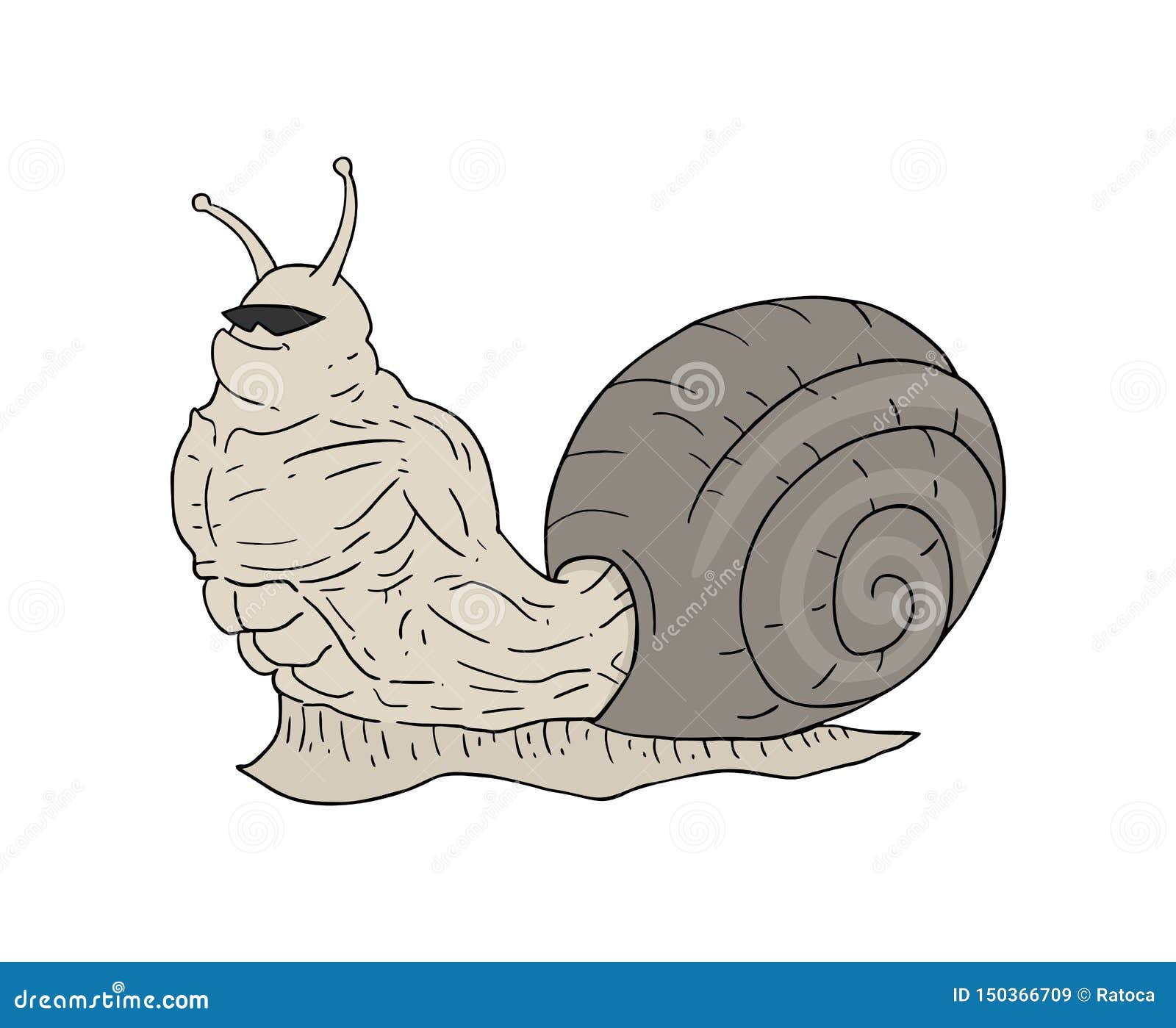 Strong Snail Draw Cartoon Vector | CartoonDealer.com #150366709