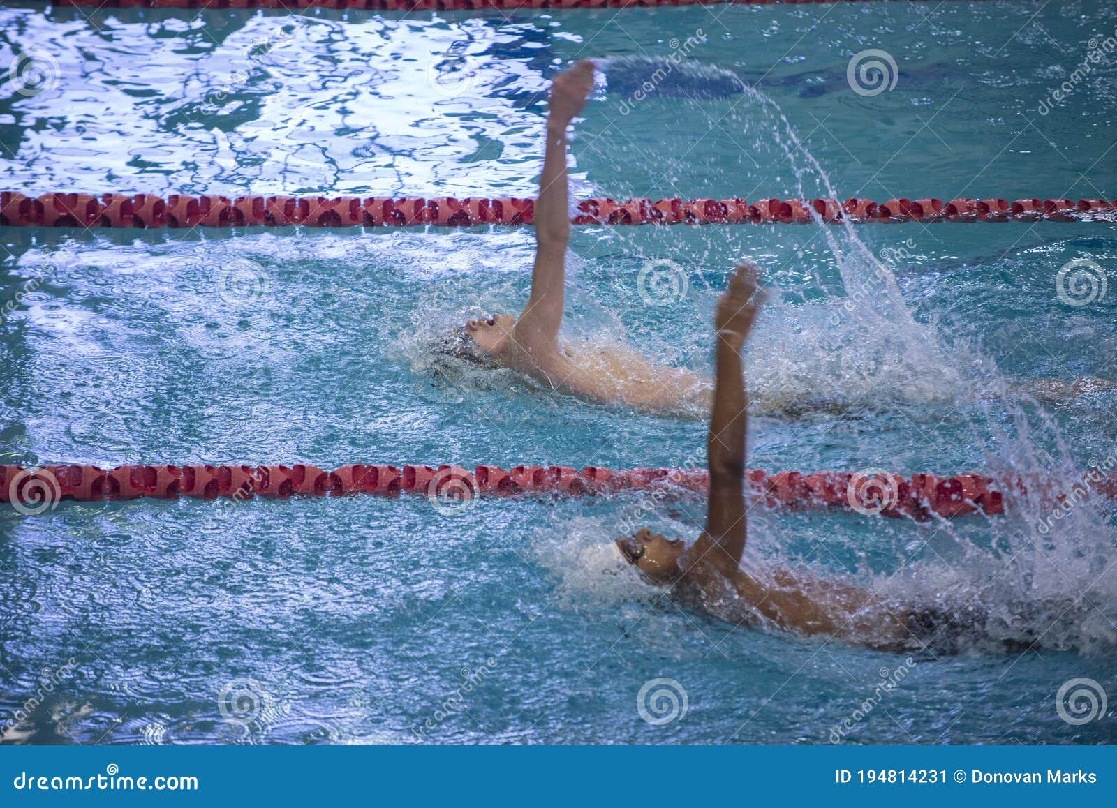 Two Racially Diverse Swimmers Competing Doing Backstroke Stock Image ...