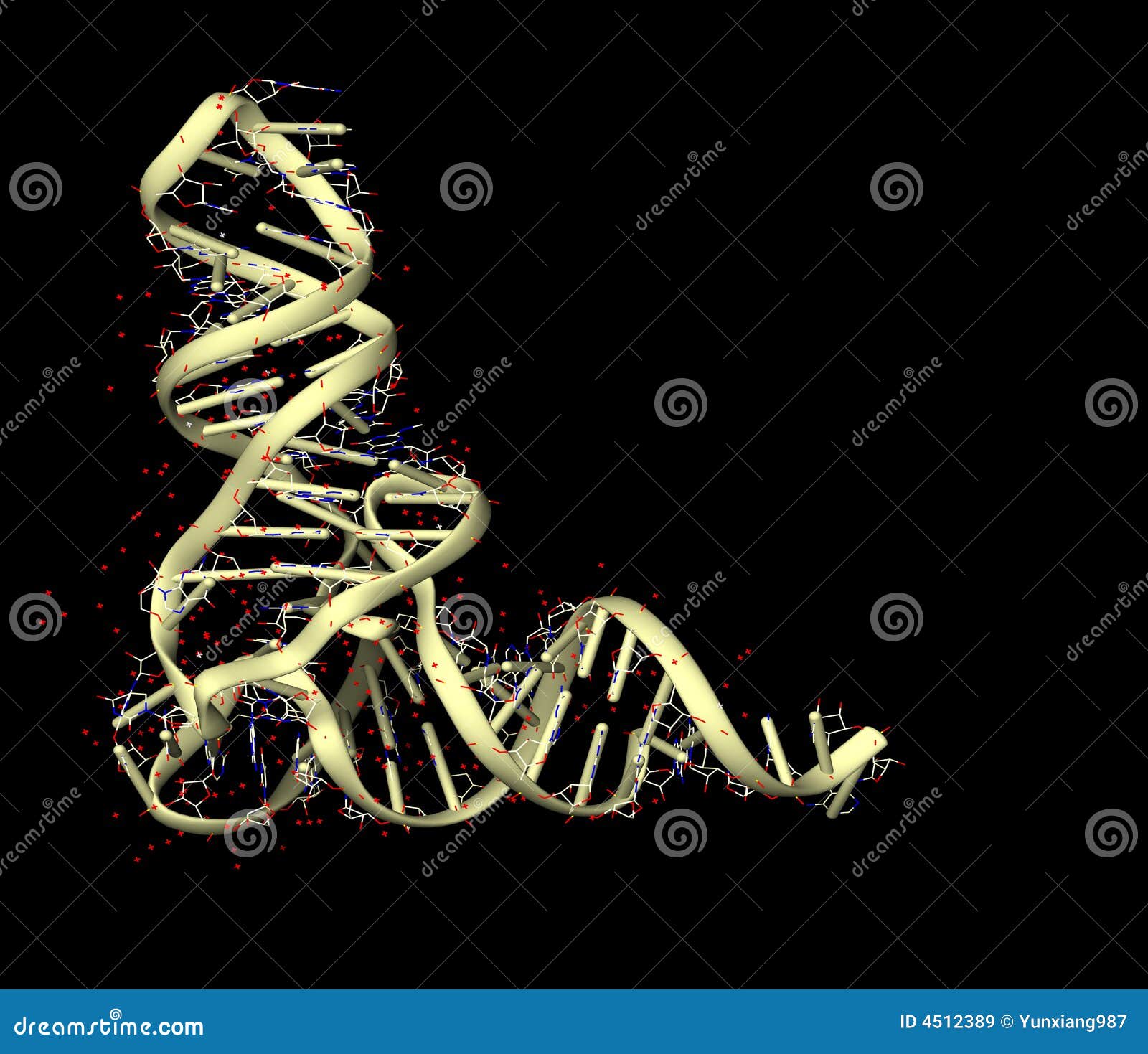 Transfer RNA (tRNA) Molecule Royalty-Free Stock Photo | CartoonDealer ...