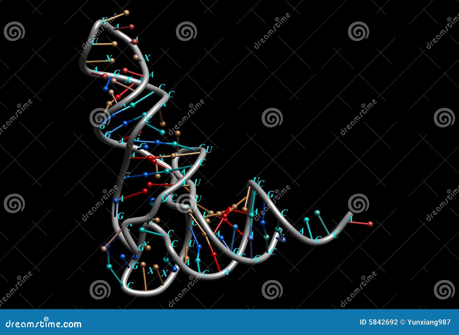 RNA stock illustration. Illustration of health, trna, biotech - 5842692