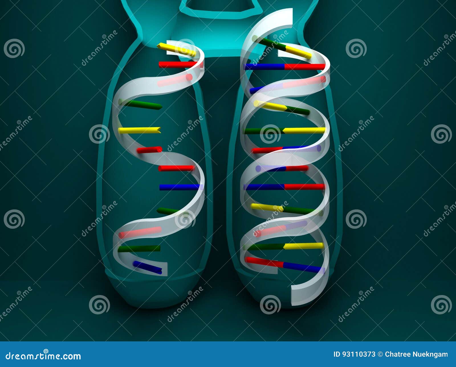 Comparison Of RNA Or Ribonucleic Acid To DNA Or Deoxyribonucleic Acid ...