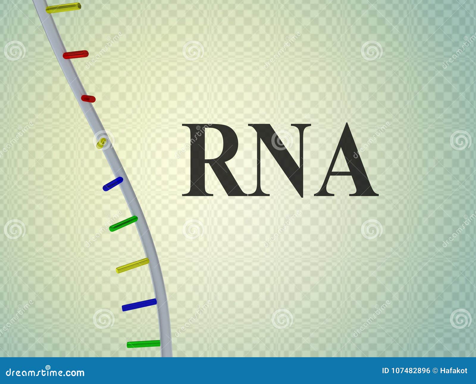 Rna Script Stock Illustrations – 20 Rna Script Stock Illustrations ...