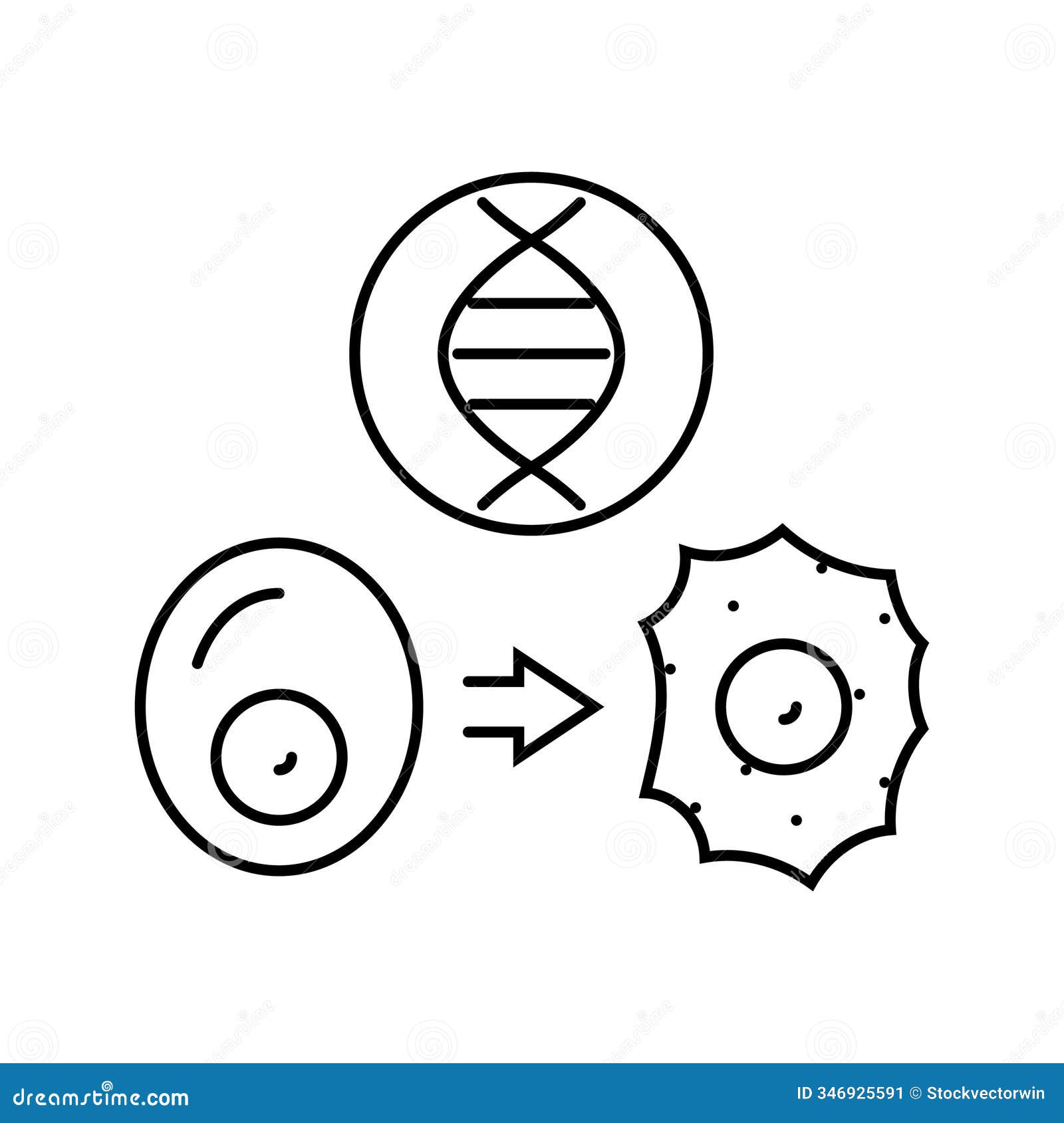 Rna Interference Cryptogenetics Line Icon Vector Illustration Stock ...