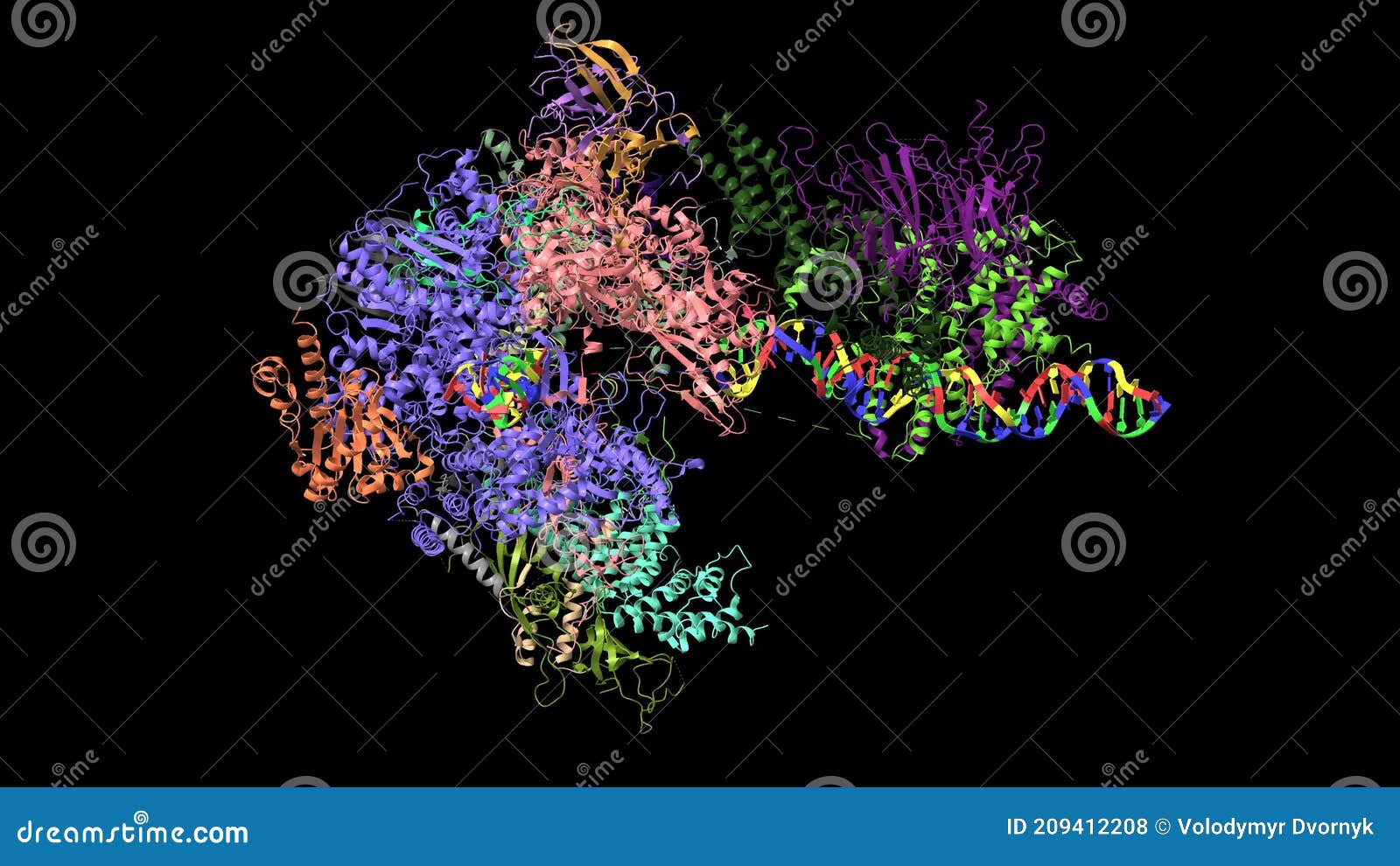 Conformation Cartoons, Illustrations & Vector Stock Images - 637 ...