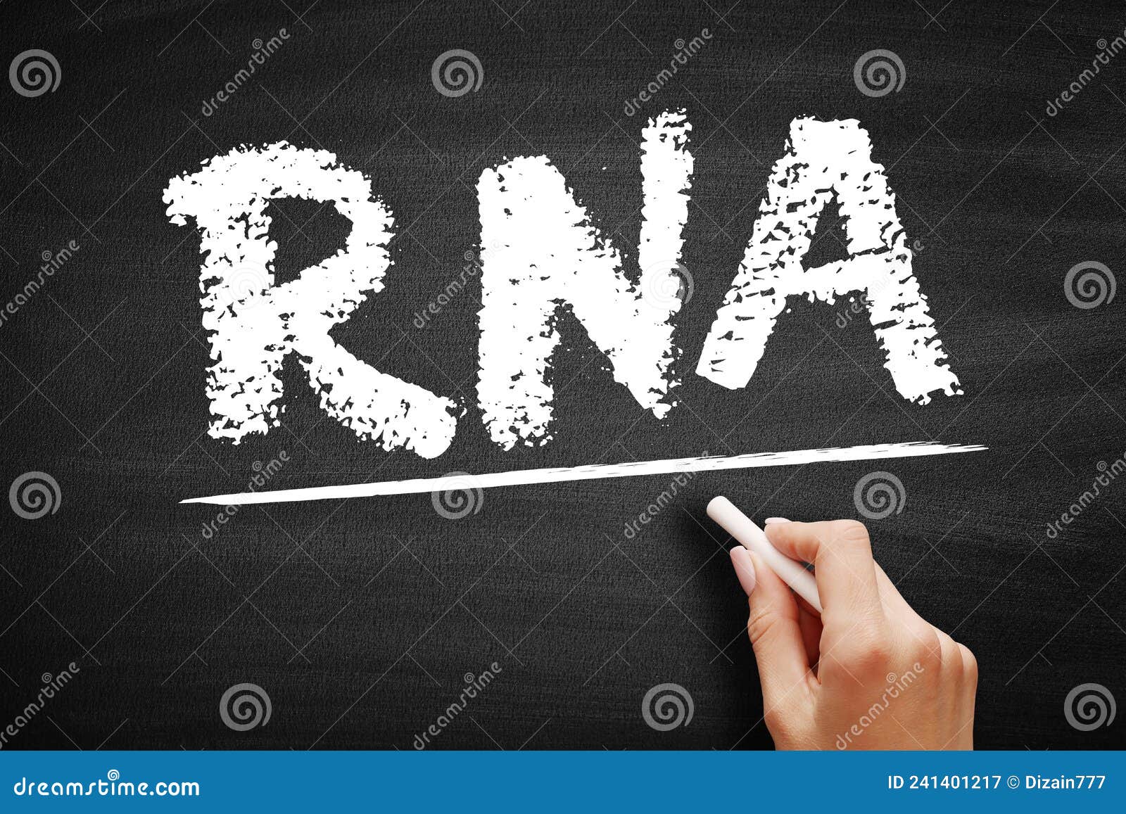 RNA Ribonucleic Acid - Polymeric Molecule Essential in Various ...