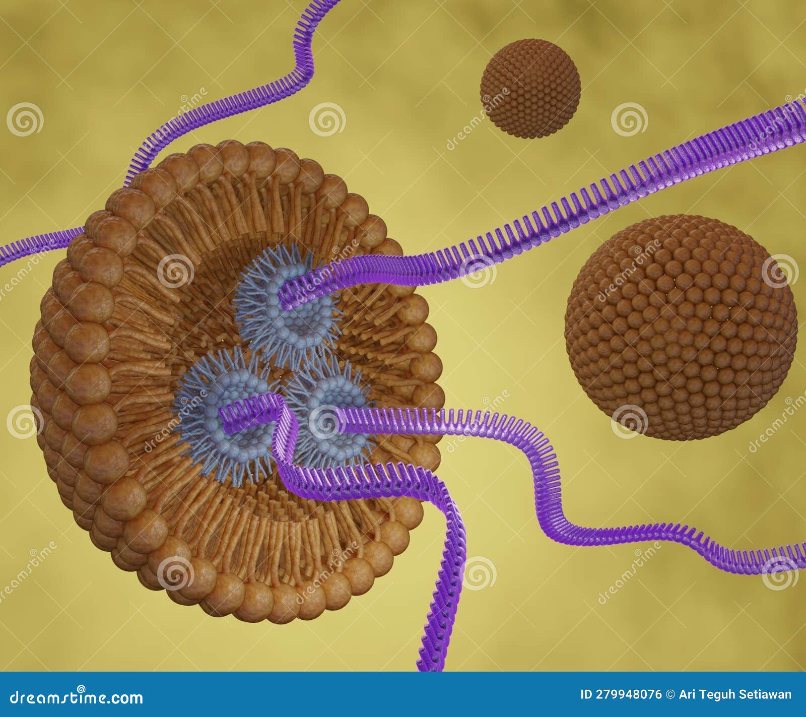 Lipid-based Nanoparticle is Releasing RNA or Small Interfering RNA or ... Lipid-based Nanoparticle is Releasing RNA or Small Interfering RNA or ...