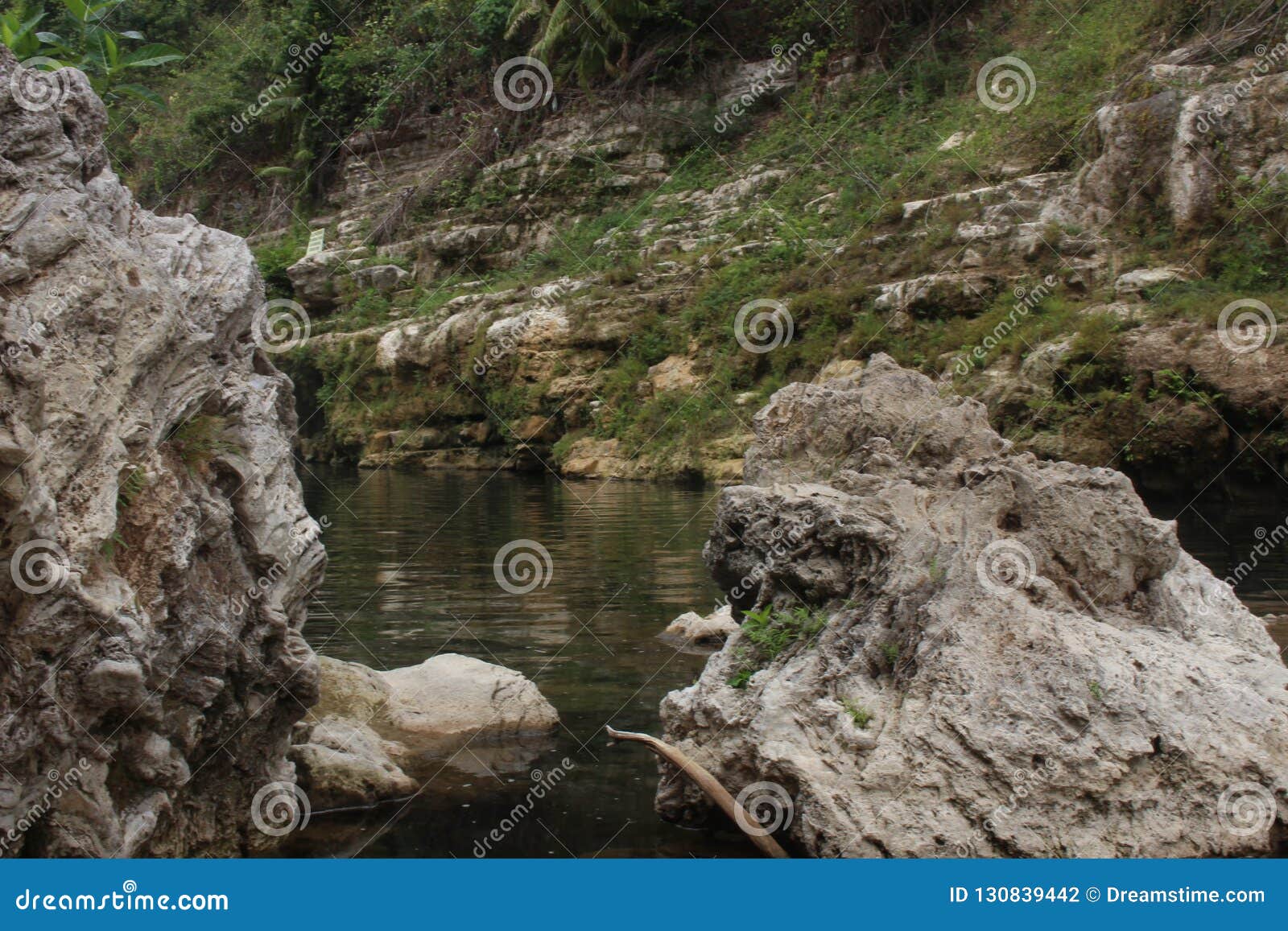 The Beauty of an Unpolluted River Stock Photo - Image of unpolluted ...
