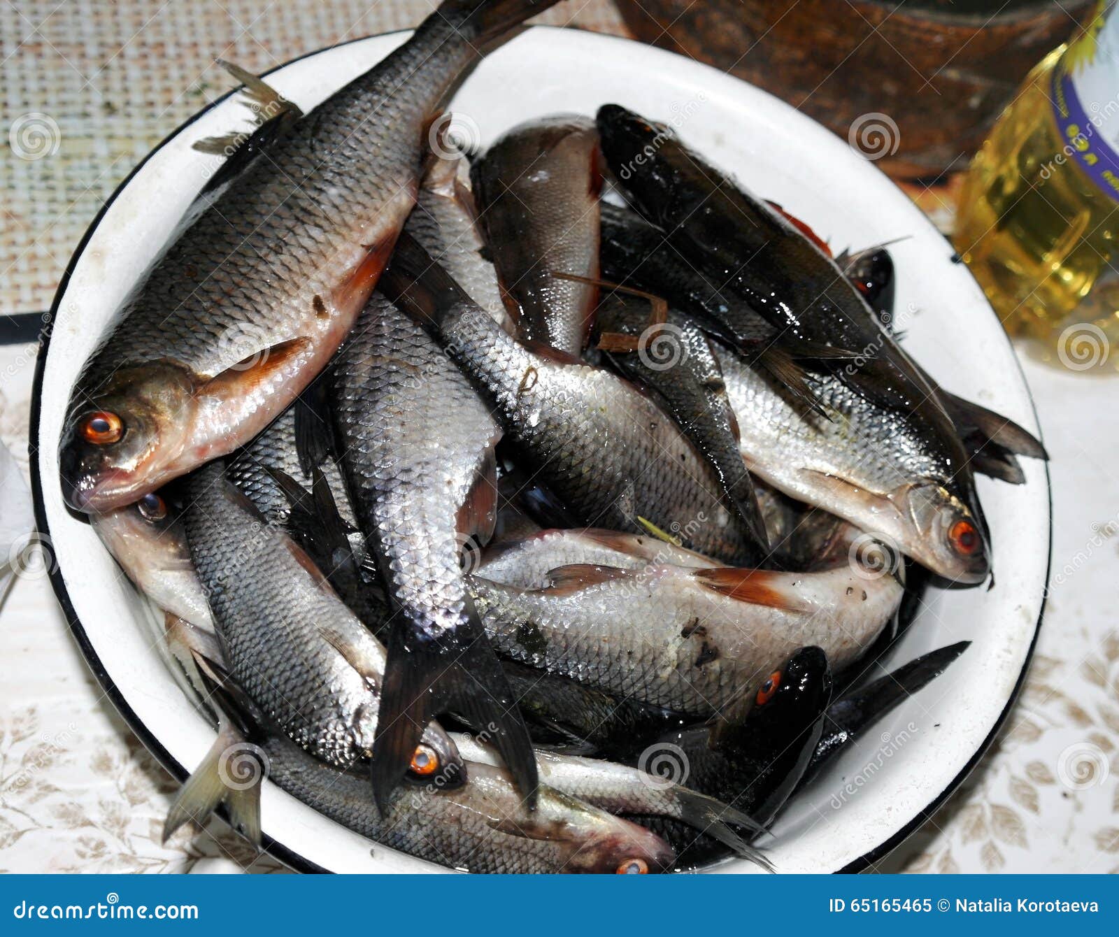 Roach fish, fresh catch stock image. Image of scales - 65165465