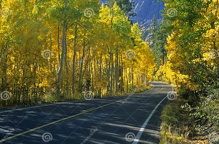 Road 14 stock photo. Image of daytime, lanes, highways - 524522
