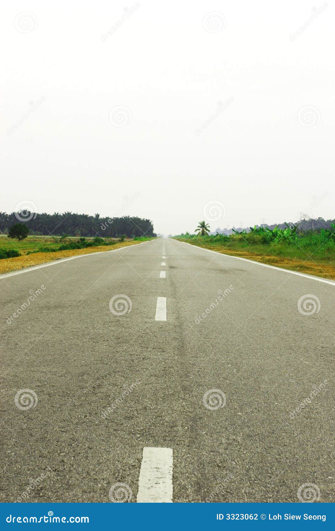 Road stock photo. Image of middle, alone, speed, straight - 3323062