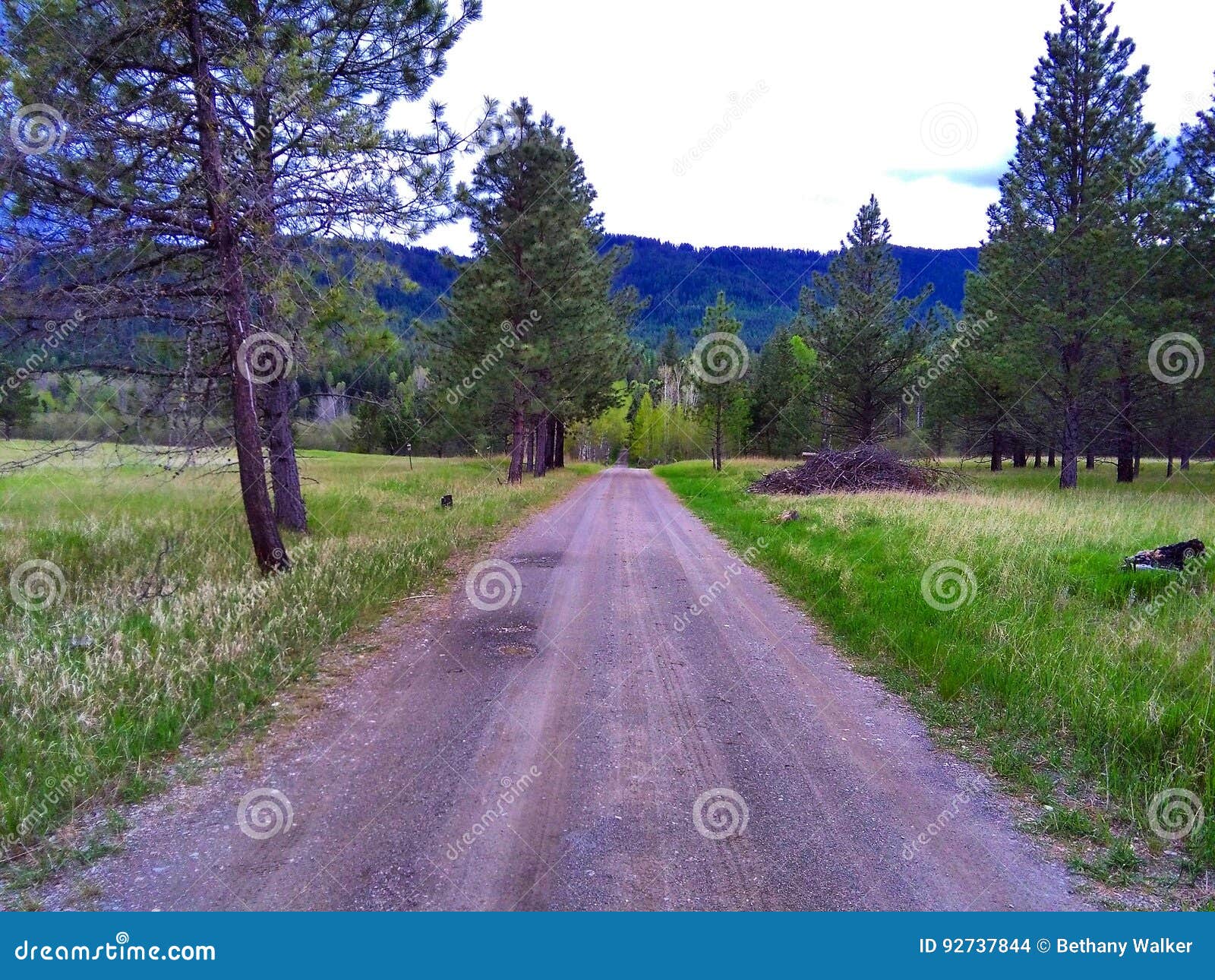 Road stock photo. Image of orielle, national, pend, road - 92737844