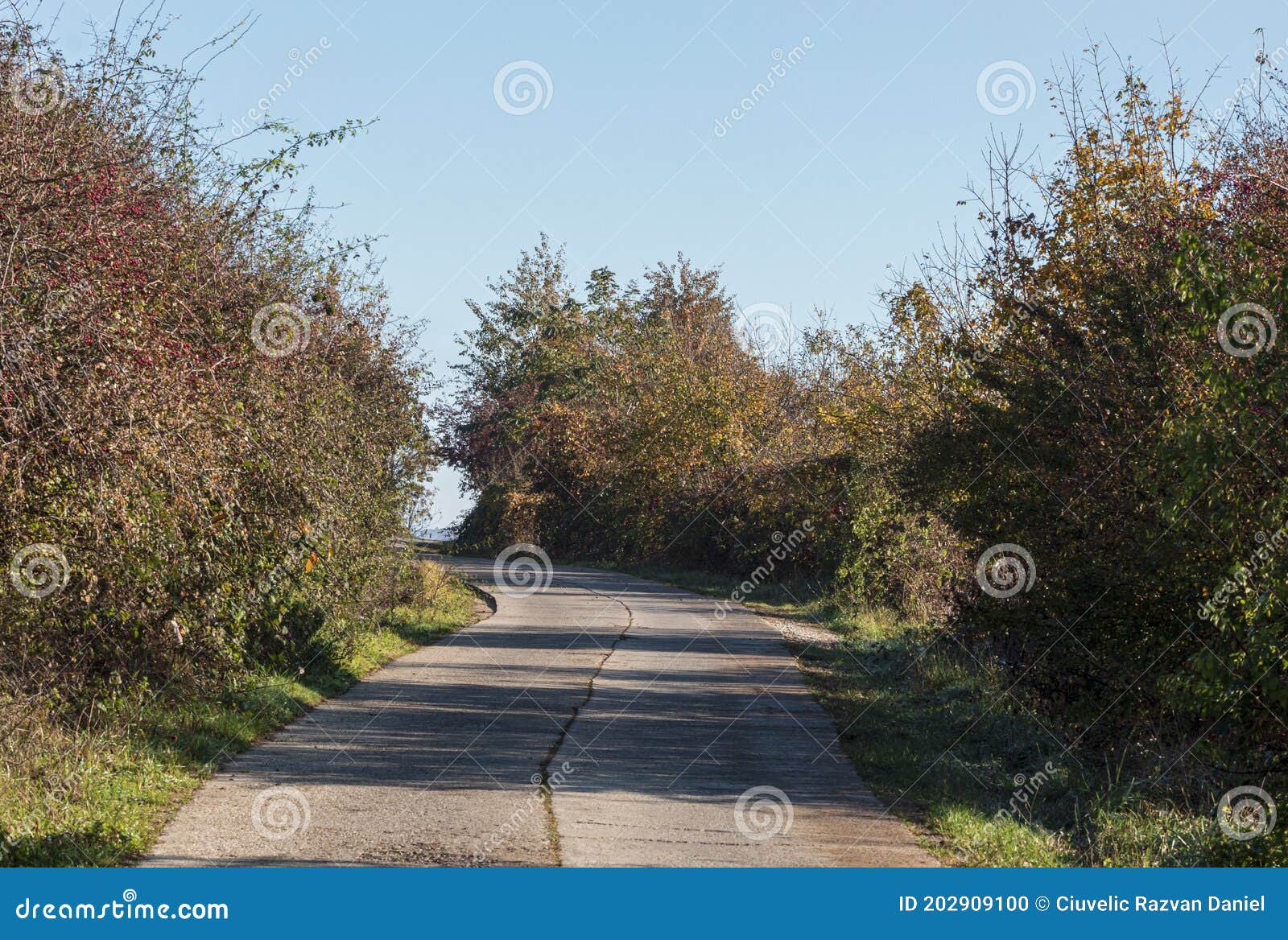 A Road Above the City Surrounded by Bushes with Blue Sky Stock Photo ...