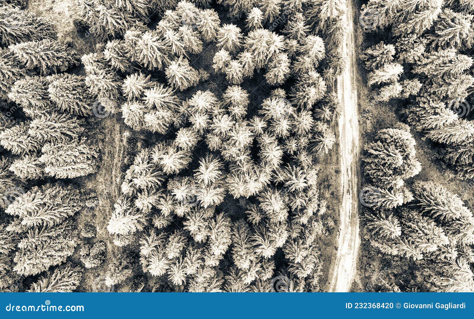 Road Across the Forest, Overhead View from Drone Stock Photo - Image of ...