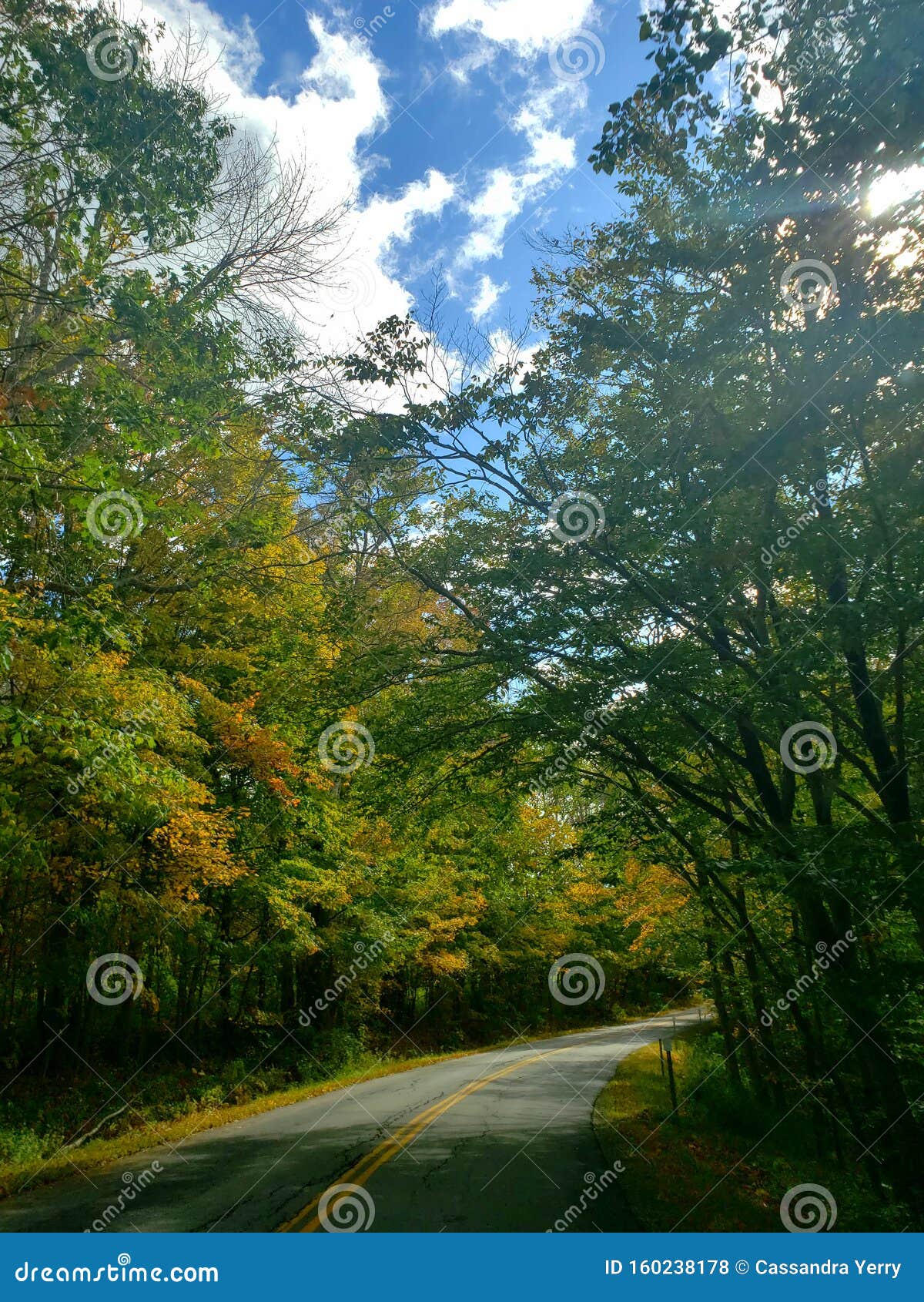 On the road again stock photo. Image of october, trees - 160238178
