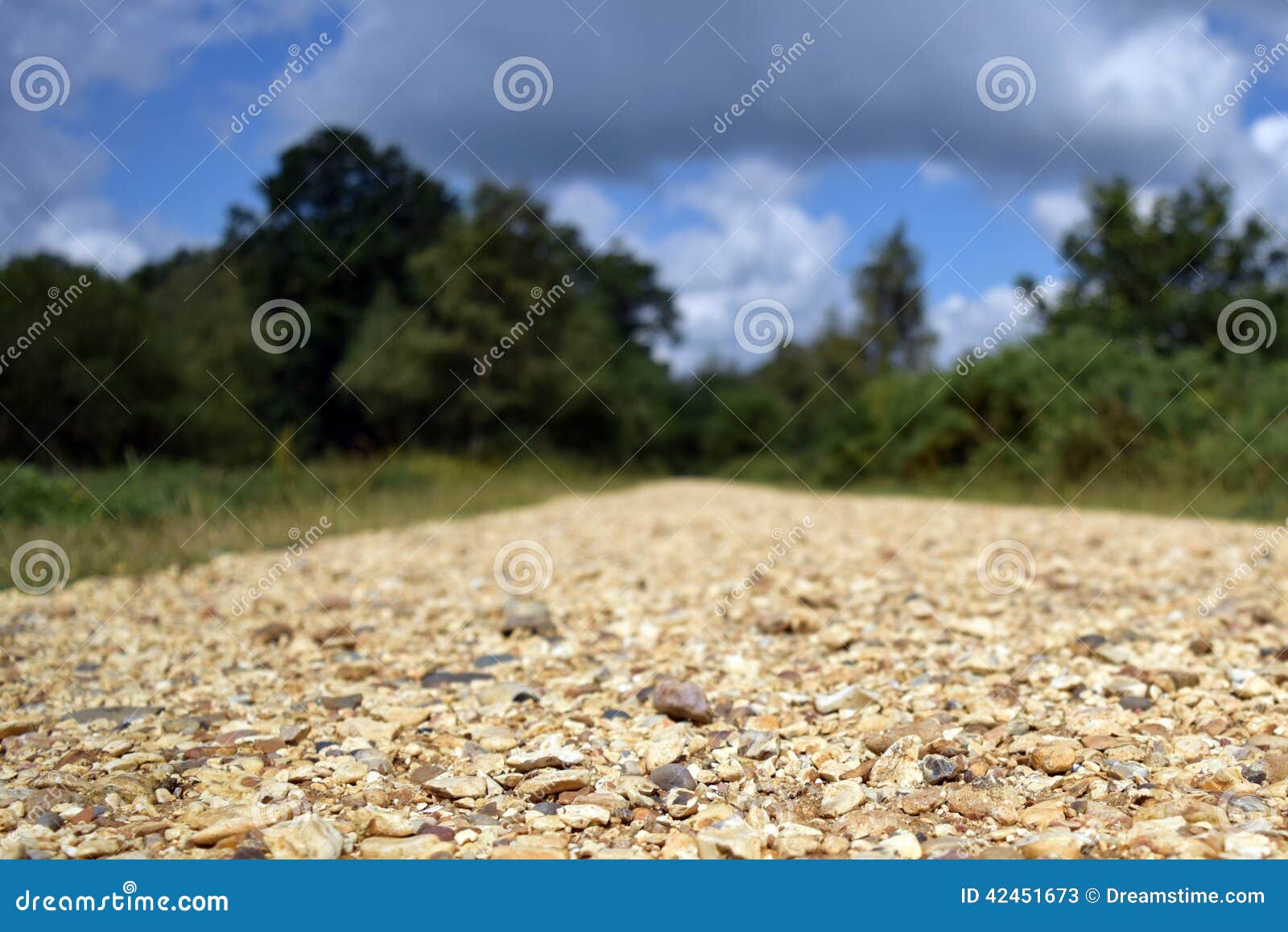 The road ahead stock image. Image of path, close, trees - 42451673