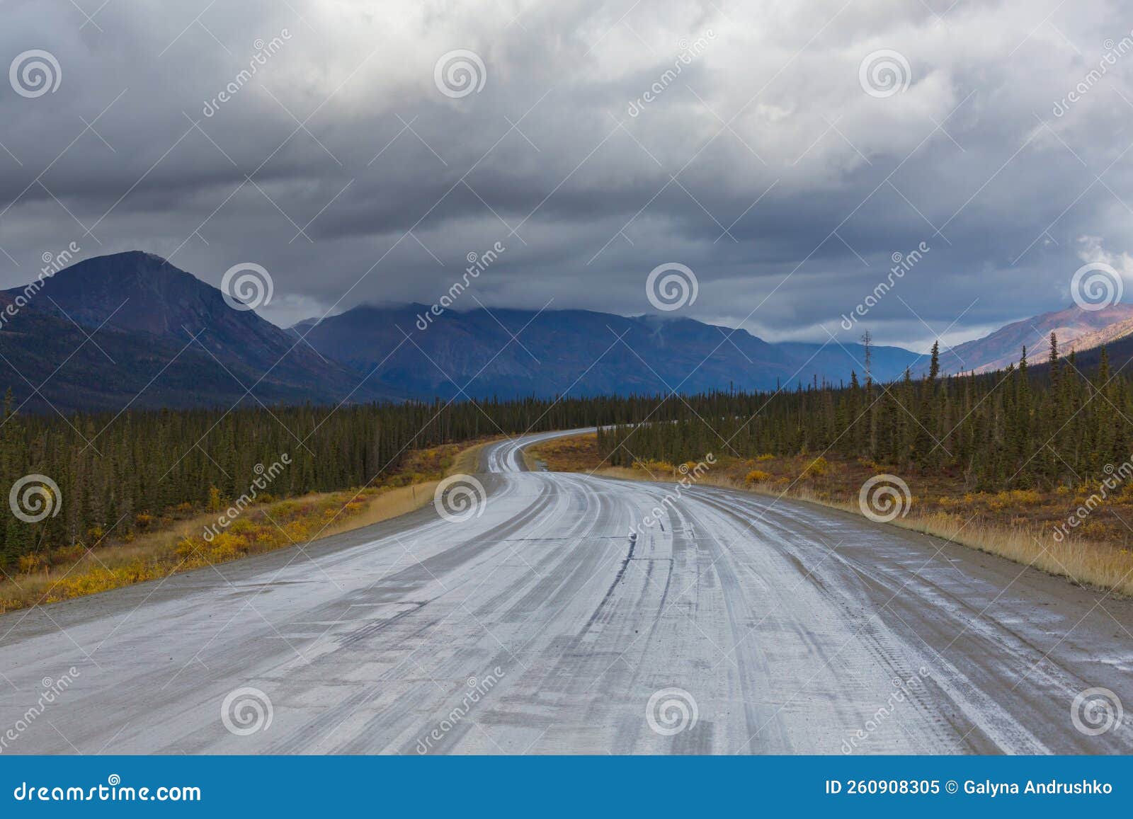 Road in Alaska stock image. Image of north, forest, park - 260908305