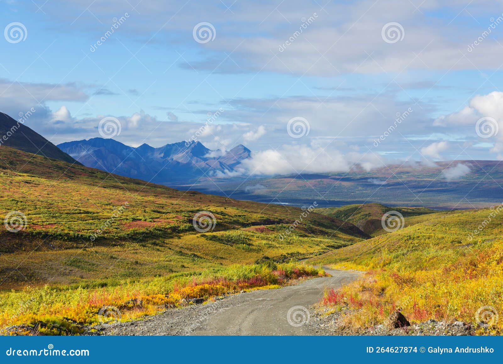 Road in Alaska stock photo. Image of nature, outback - 264627874