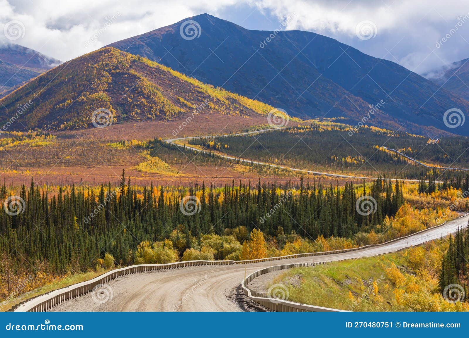 Road in Alaska stock image. Image of horizon, north - 270480751