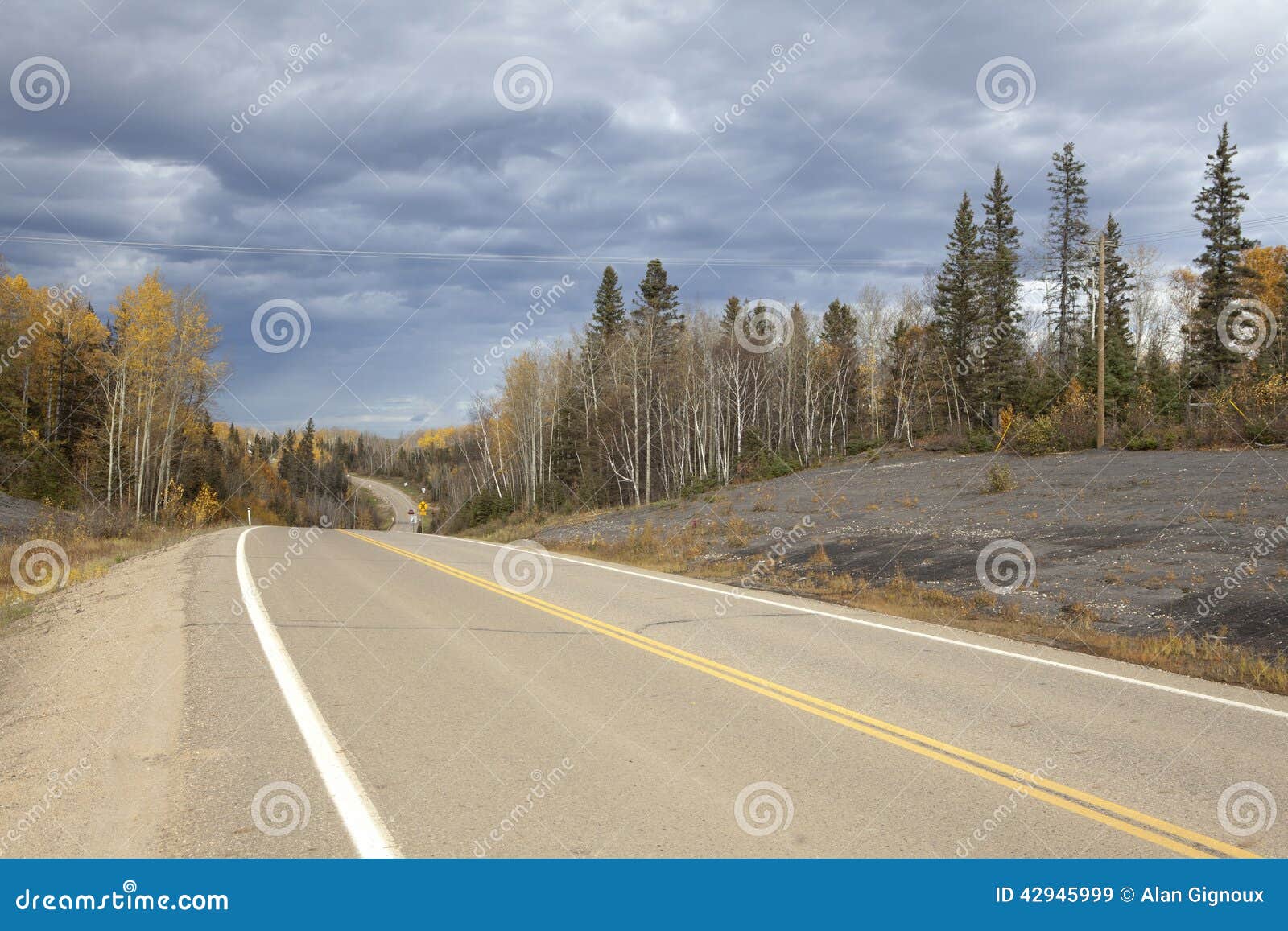 A road in Alberta, Canada editorial stock image. Image of forest - 42945999