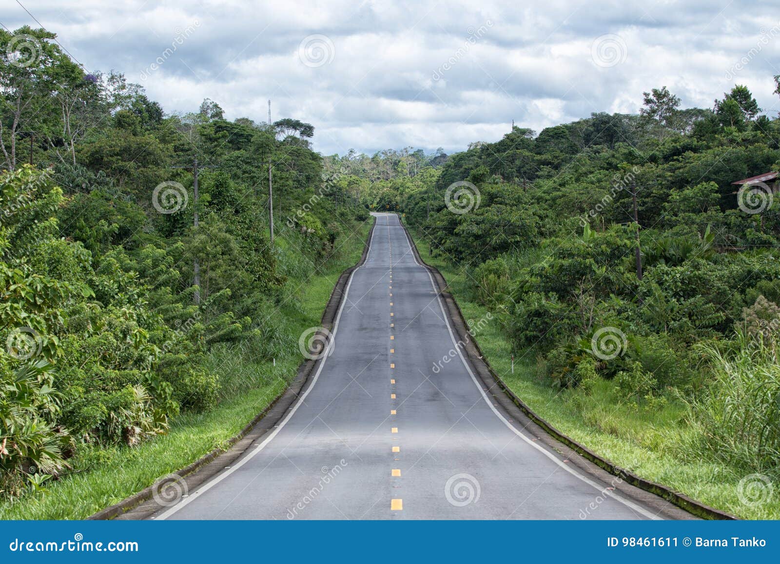 Road through the Amazon Area of Ecuador Stock Image - Image of outdoors ...