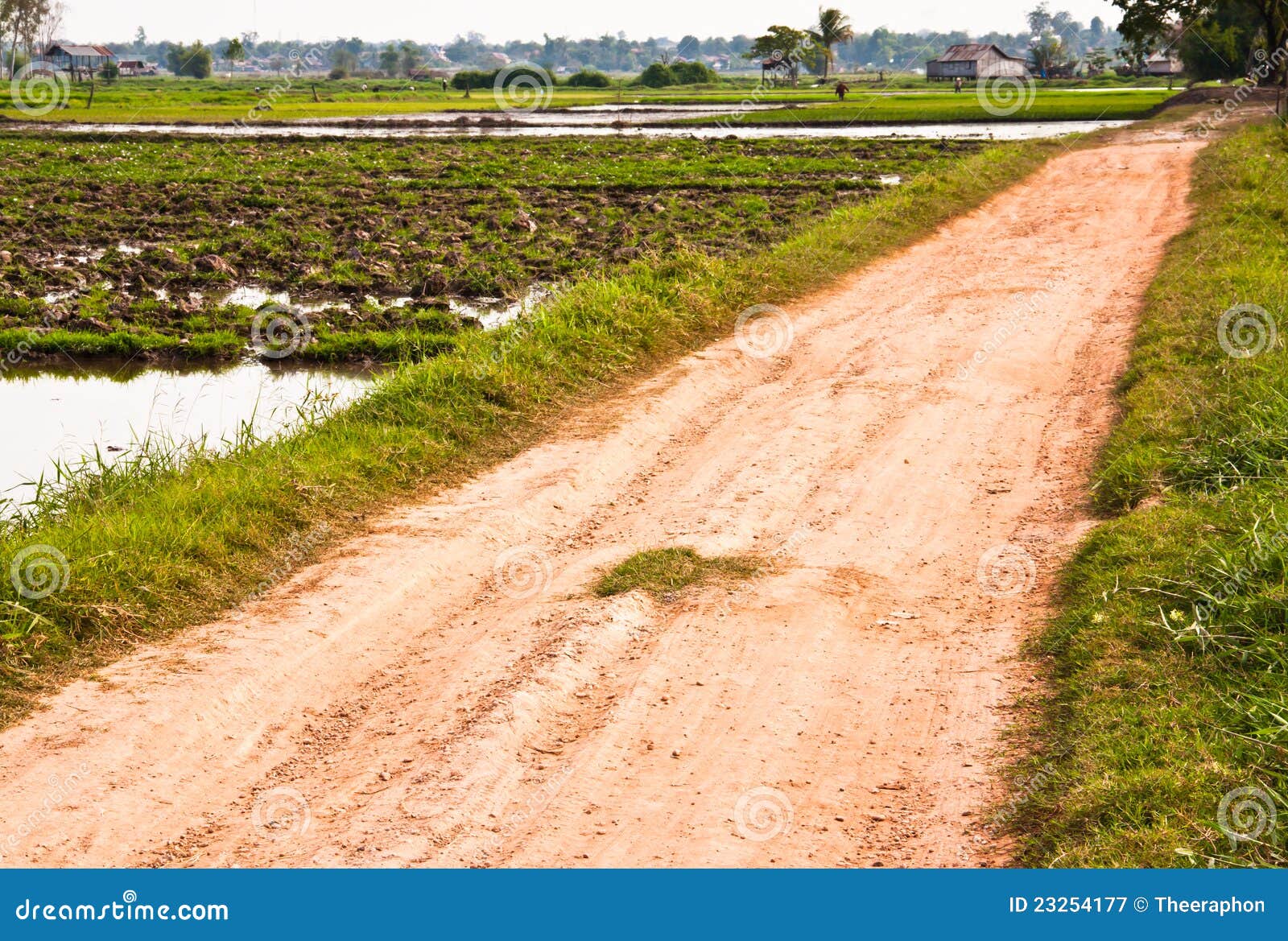 Road into the Area for Planting. Stock Image - Image of cultivated ...