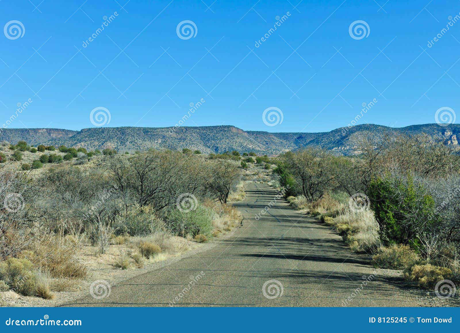 Road through Arizona Desert Stock Image - Image of america, road: 8125245