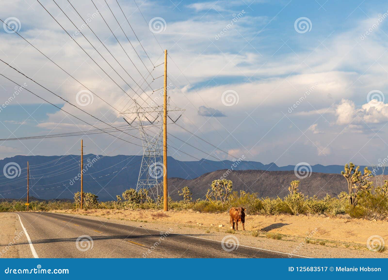 A Road through the Arizona Desert Stock Image - Image of horizontal ...