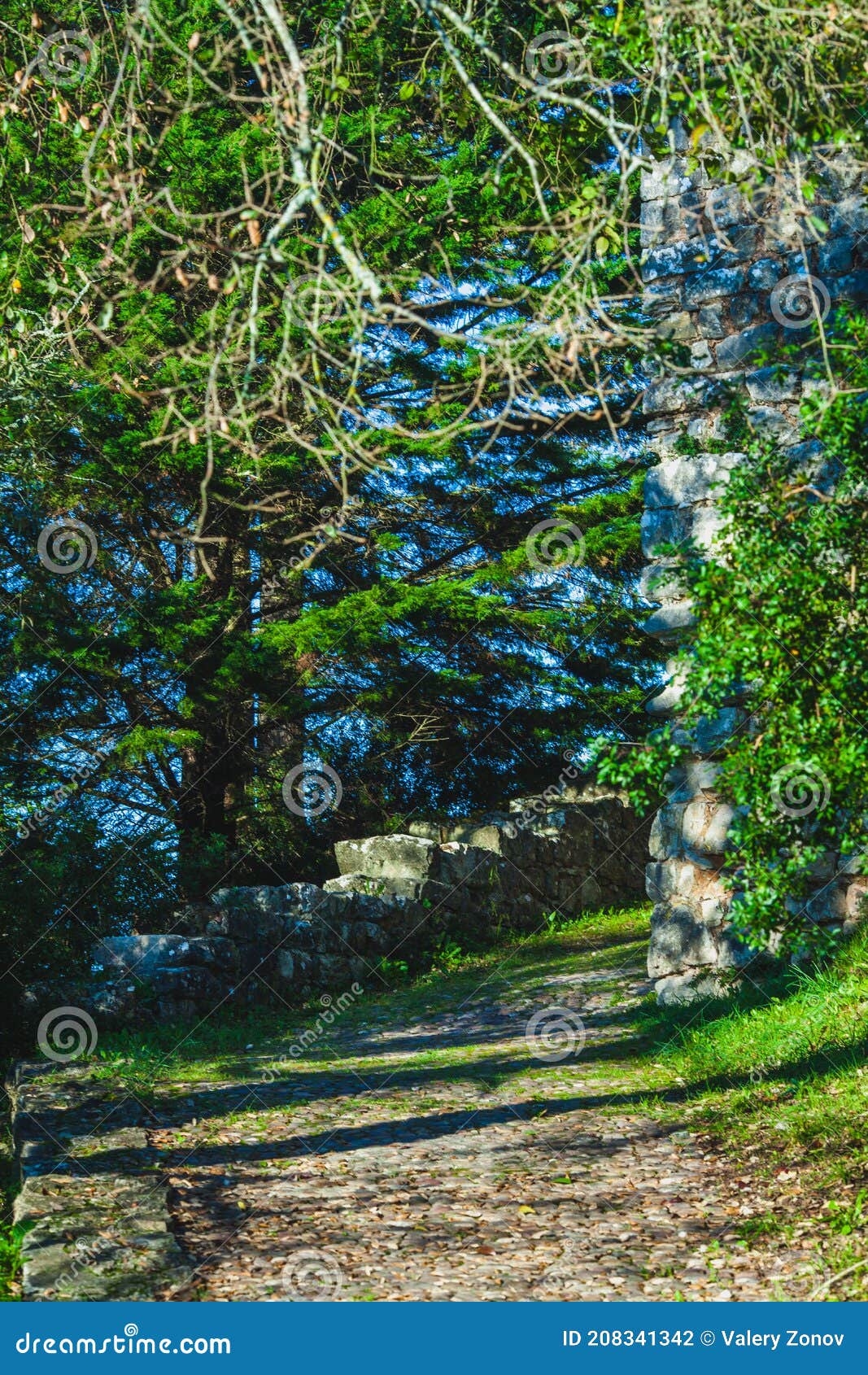 Road around an castle stock photo. Image of rocky, mist - 208341342