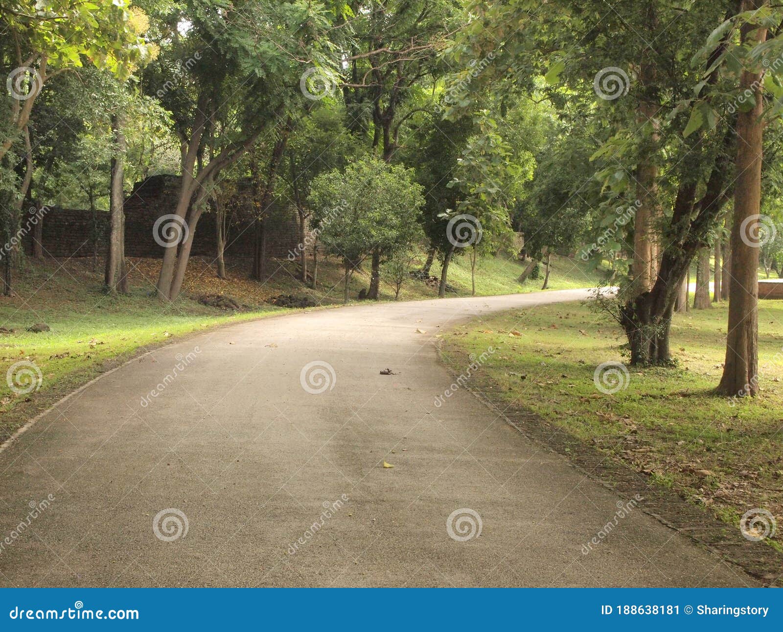 Road and around trees stock image. Image of deciduous - 188638181