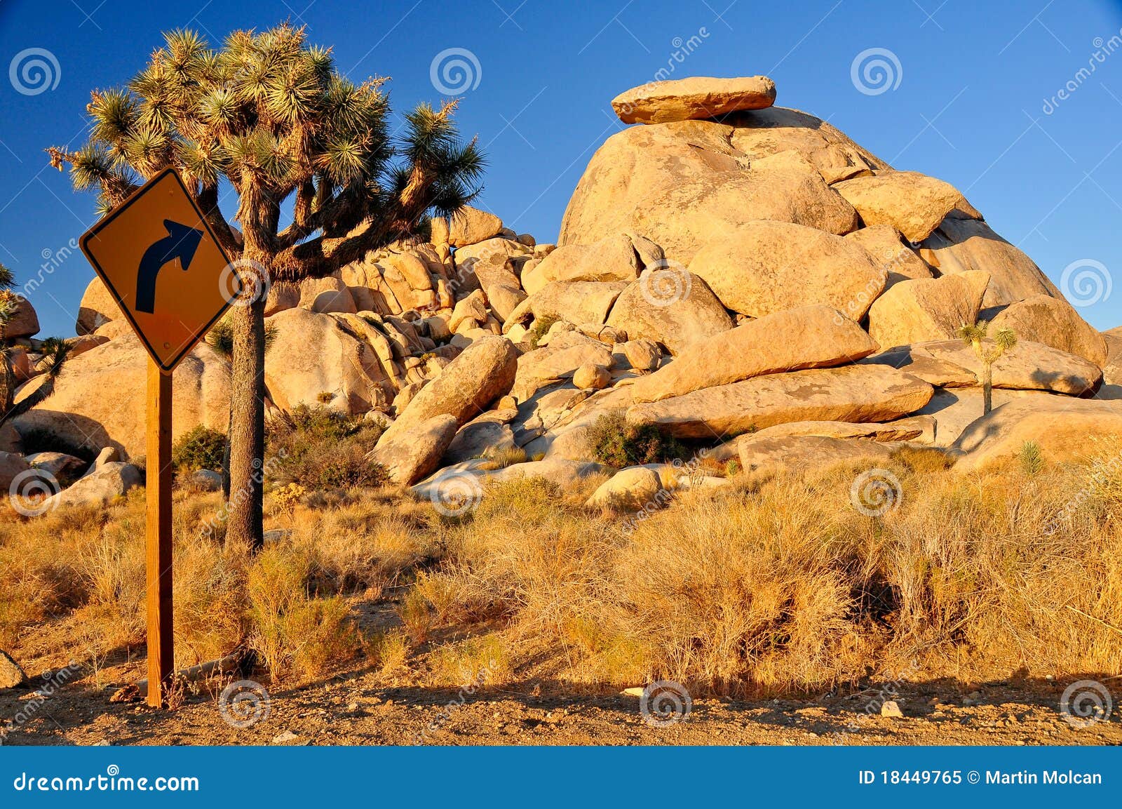 Road Arrow Sign Pointing To Rock Stock Image - Image of idea, tree ...