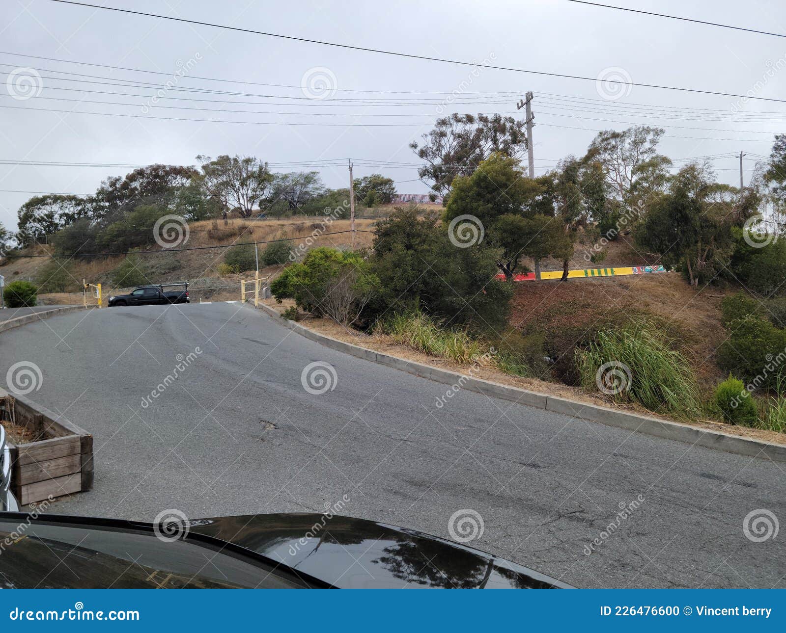 Road asphalt bushes stock photo. Image of track, freeway - 226476600