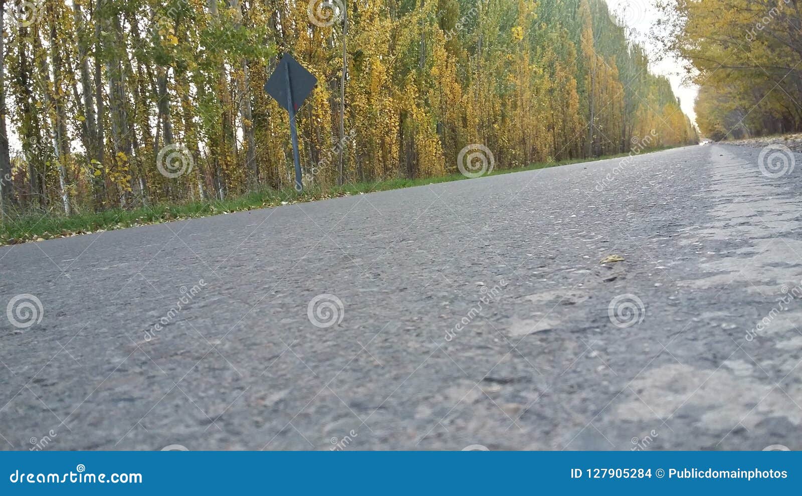 Road, Asphalt, Path, Road Surface Picture. Image: 127905284