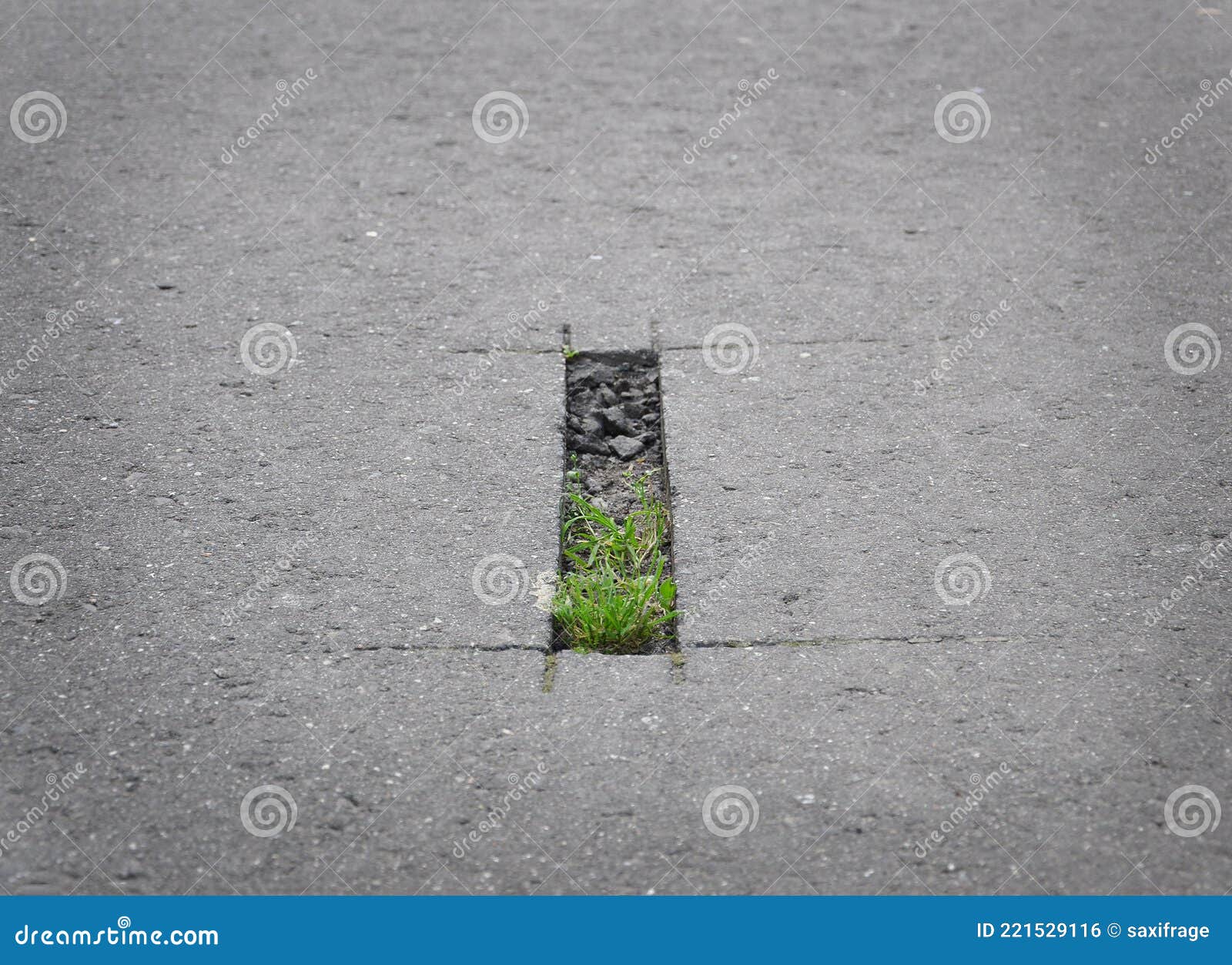 Road Asphalt Testing (pavement Sampling) and Grass Stock Photo - Image ...