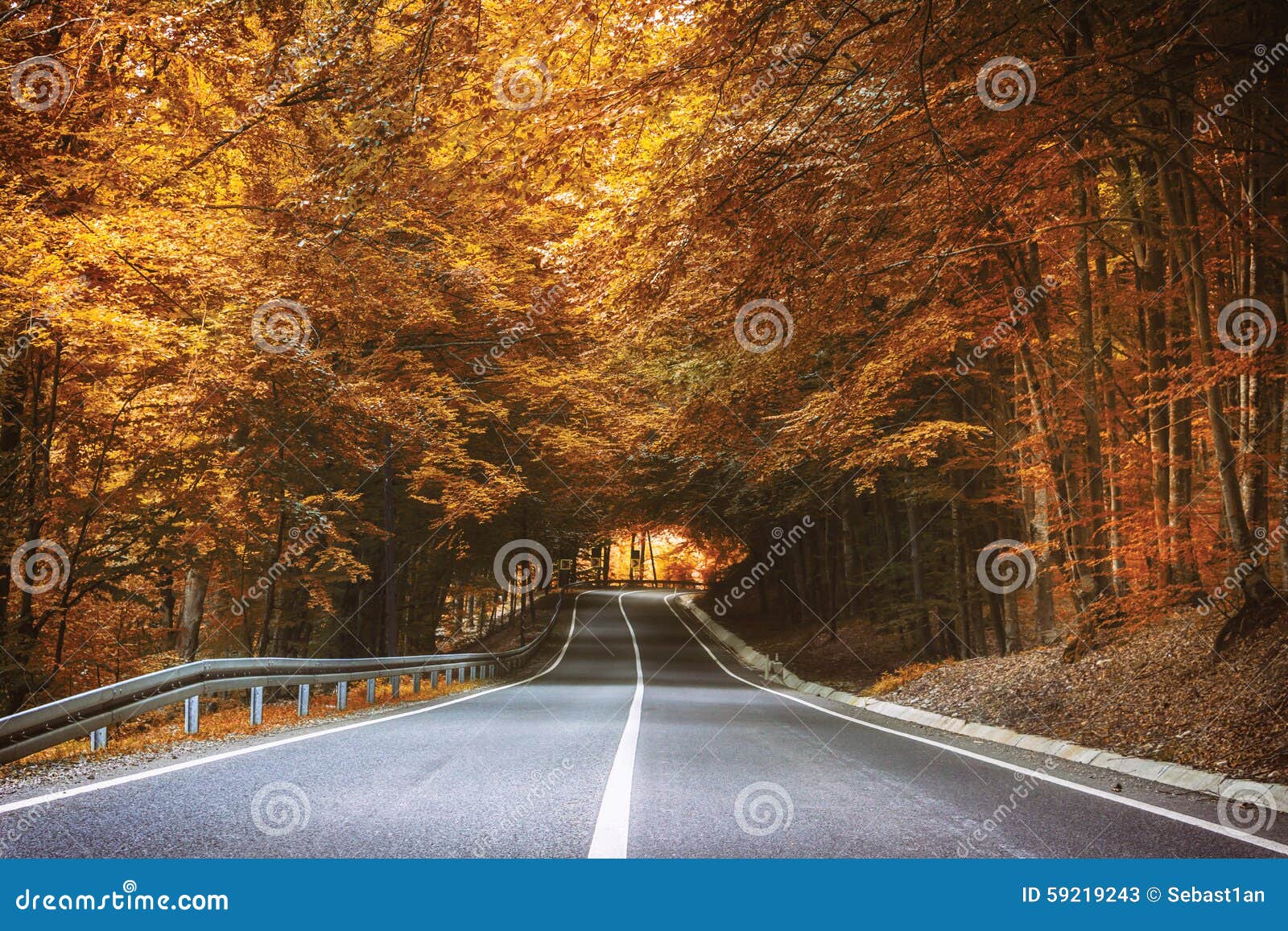 Road in Autumn stock image. Image of lane, hike, brown - 59219243