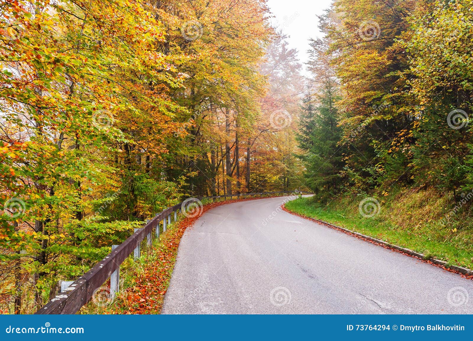 Road through Autumn Forest stock photo. Image of colorful - 73764294