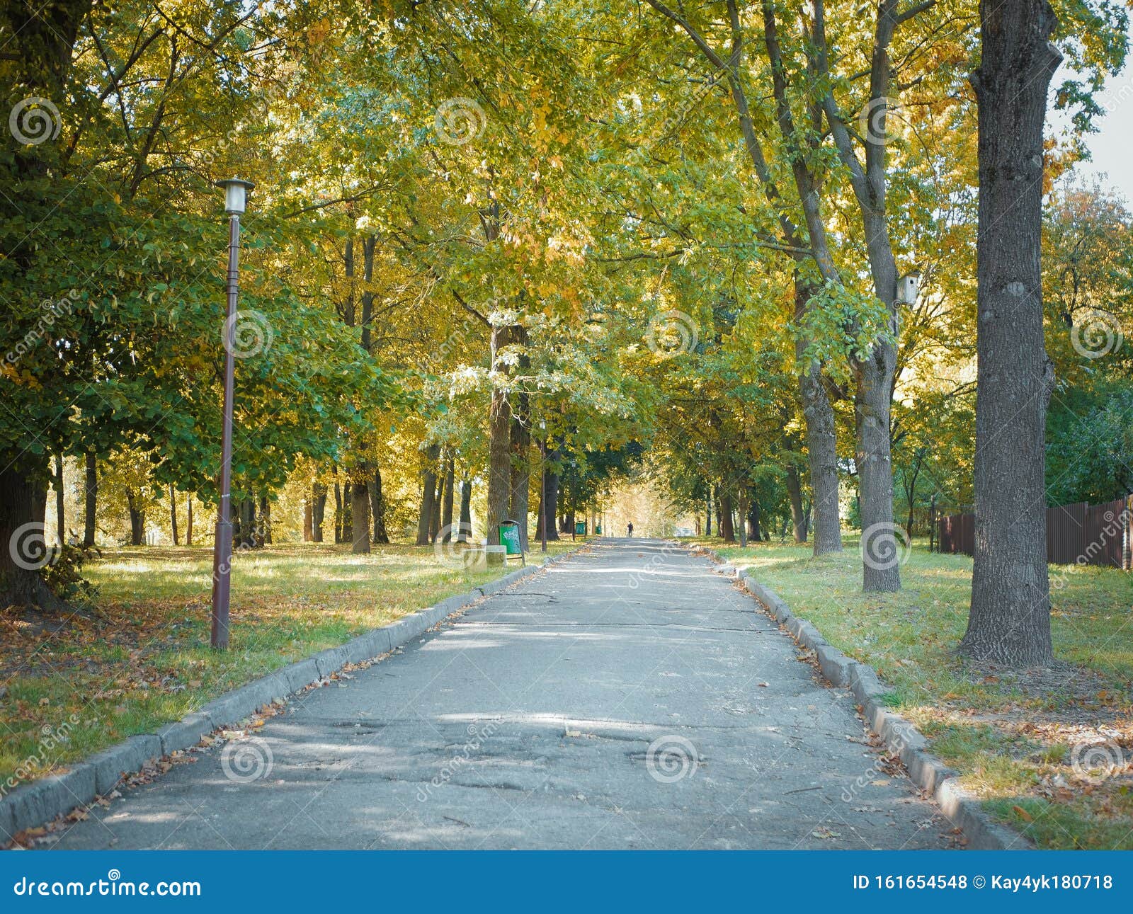Road in the Autumn Park. Walk in the Park Stock Photo - Image of road ...