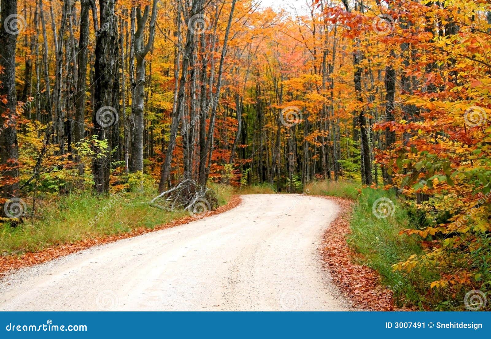 Road through Autumn Trees stock image. Image of colorful - 3007491