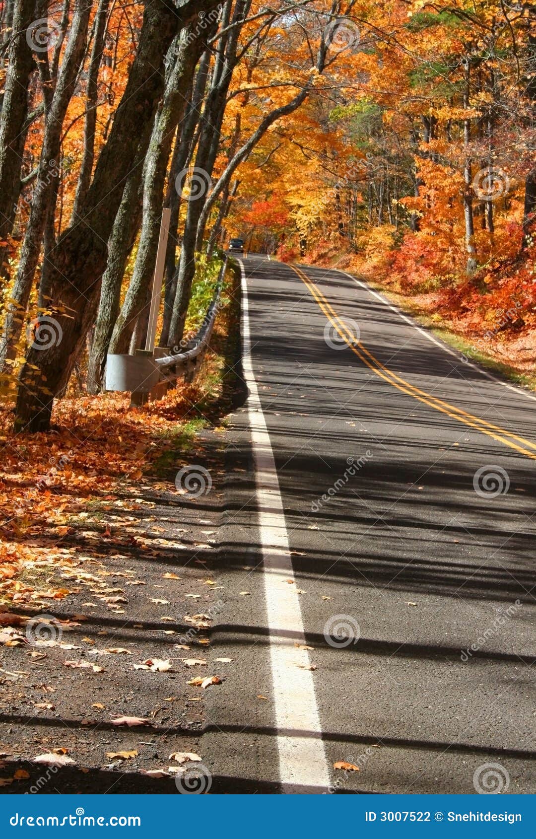 Road through Autumn Trees stock photo. Image of aspens - 3007522