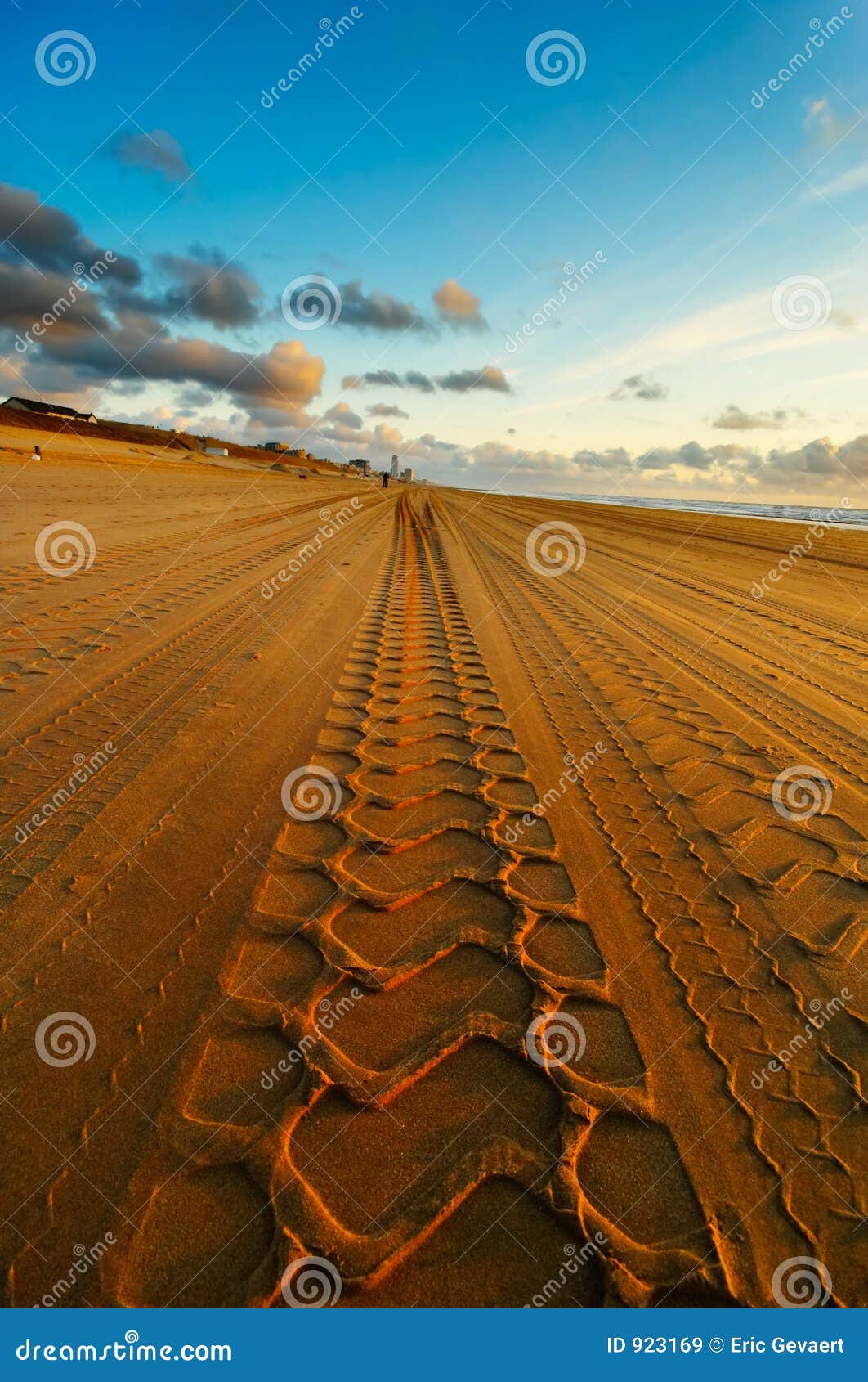 Road on the beach stock image. Image of seagull, beach - 923169