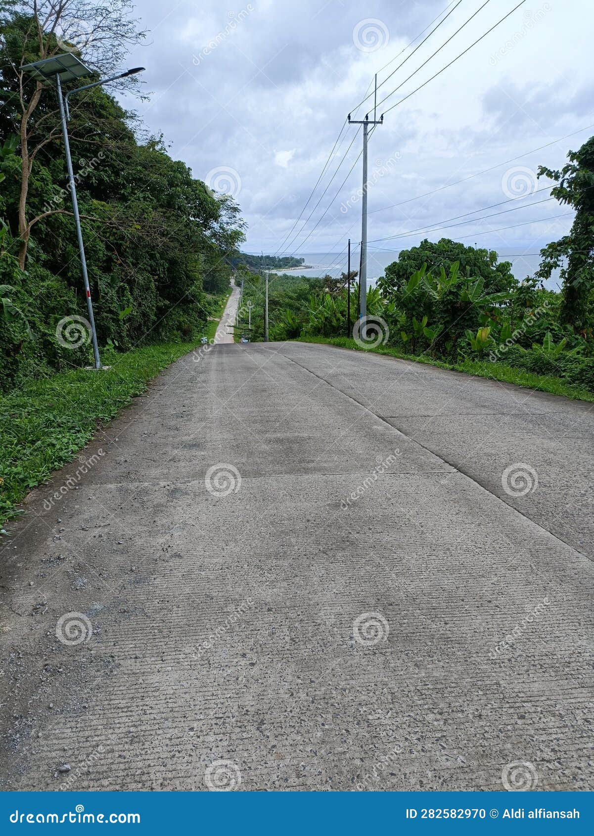 Road Beach Nature Cloud Tree Stock Photo - Image of cloud, beach: 282582970