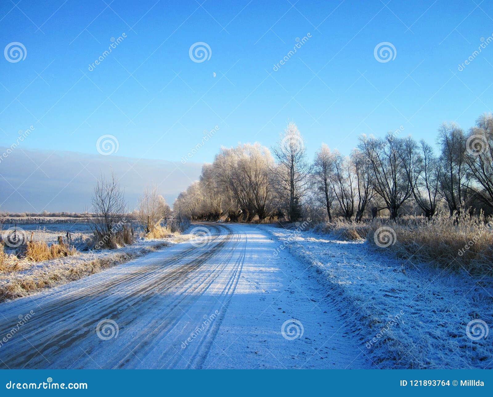 Road and Beautiful Snowy Trees, Lithuania Stock Photo - Image of ...
