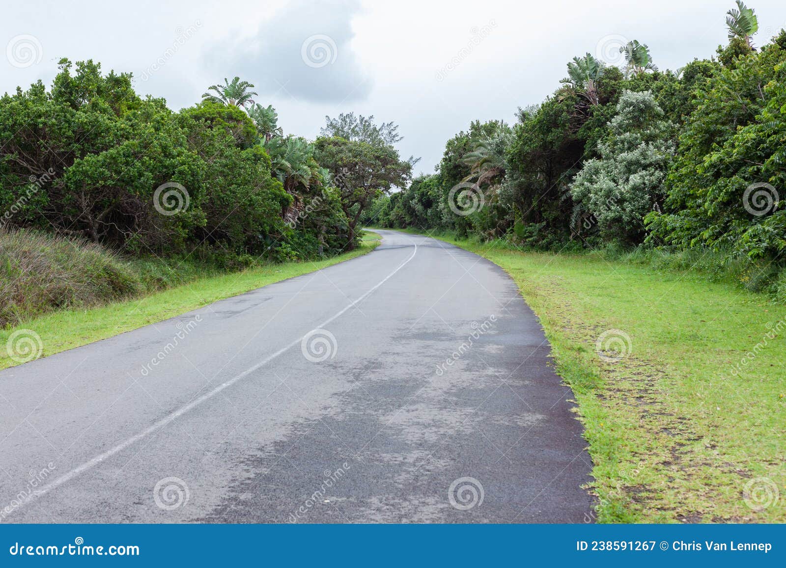 Road Bend Trees Grass Destination Stock Image - Image of grass, route ...