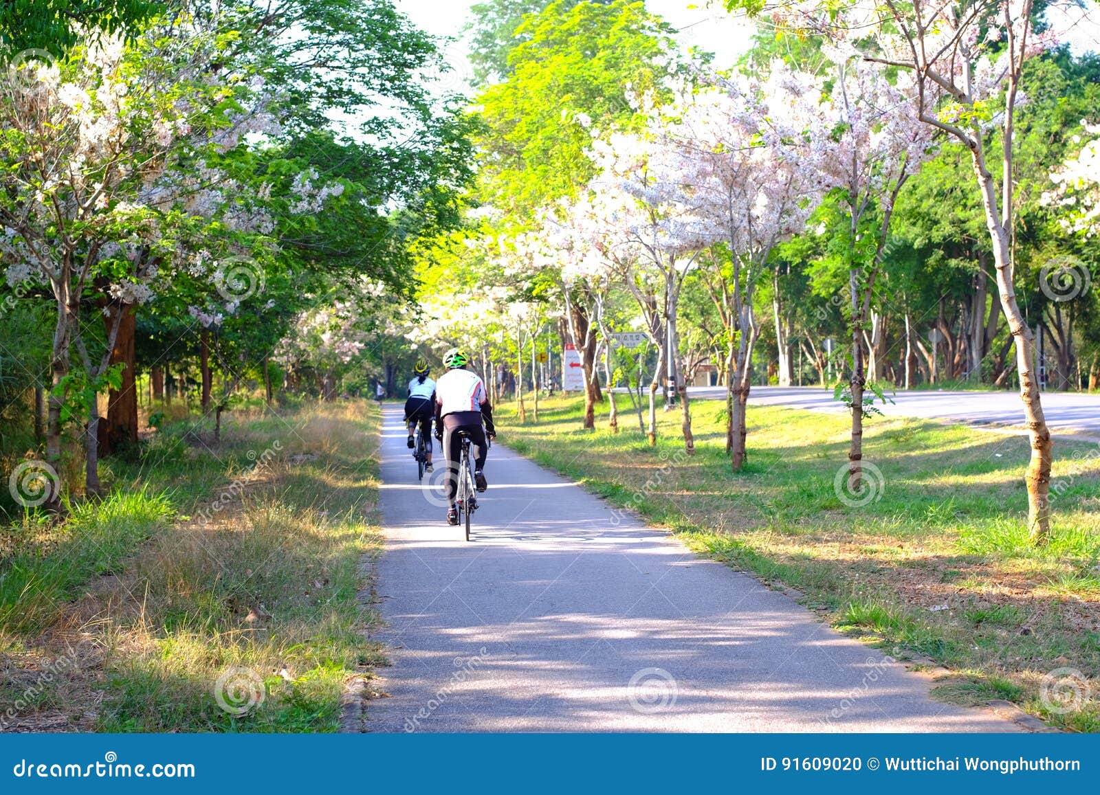 Road for Bicycle and Run in Garden Stock Photo - Image of countryside ...